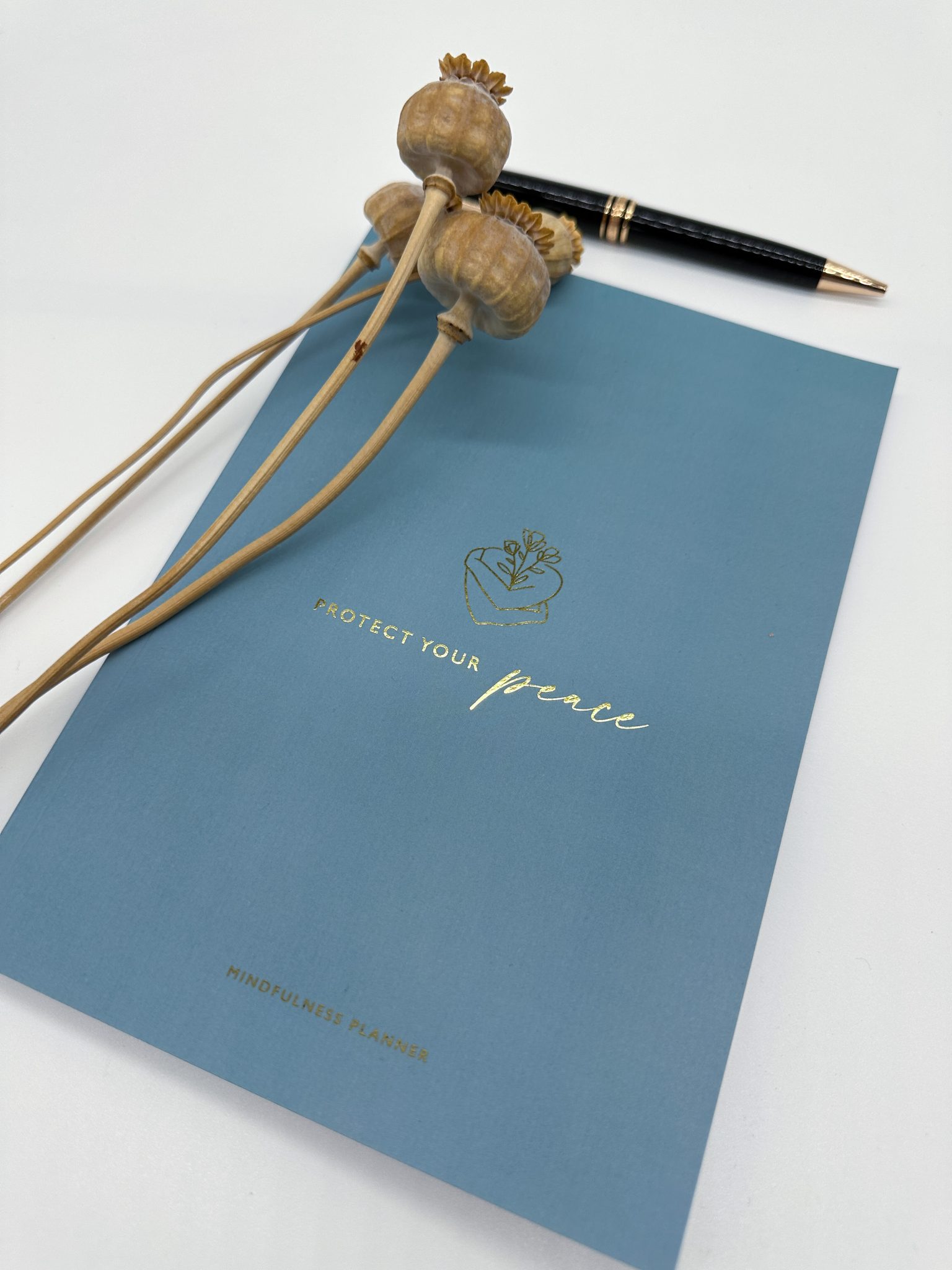 Protect your peace Journal – Seeds & Feathers