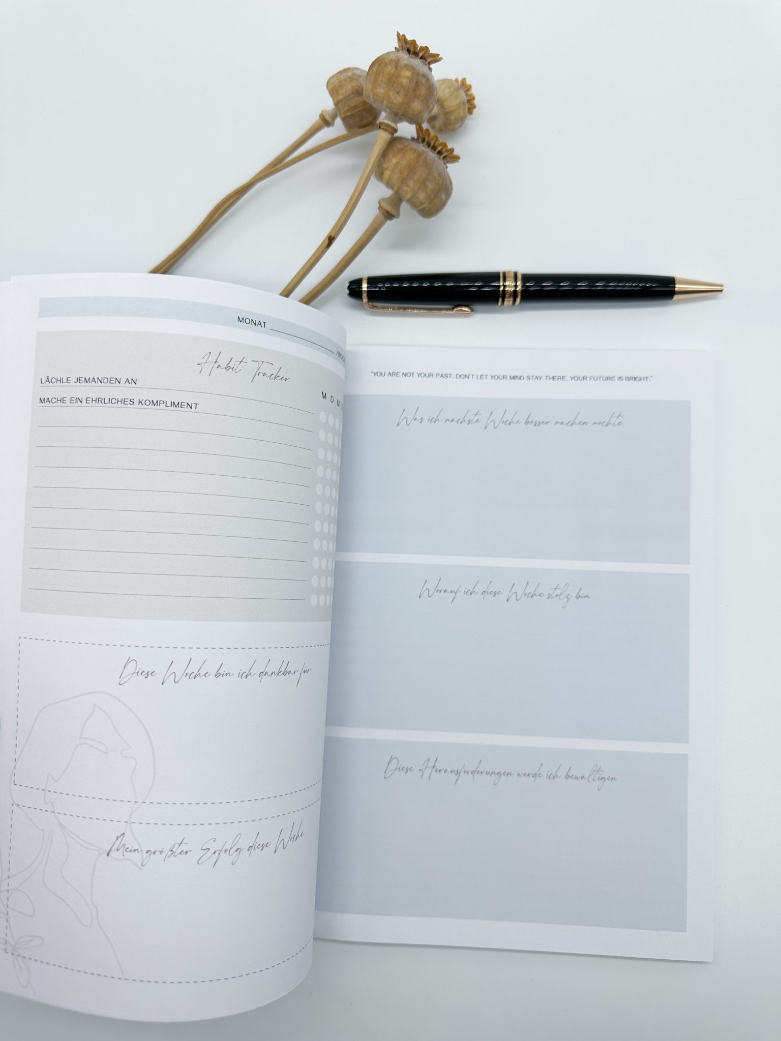 Protect your peace Journal – Seeds & Feathers